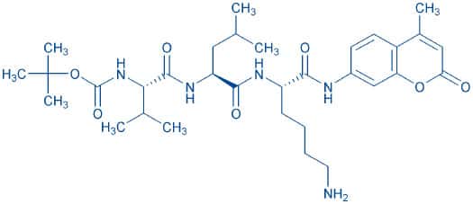 Boc-Val-Leu-Lys-AMC - Bachem Products