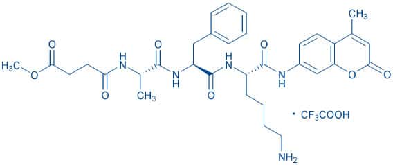 MeOSuc-Ala-Phe-Lys-AMC - Bachem Products