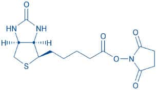D-Biotinyl-OSu - Bachem Products
