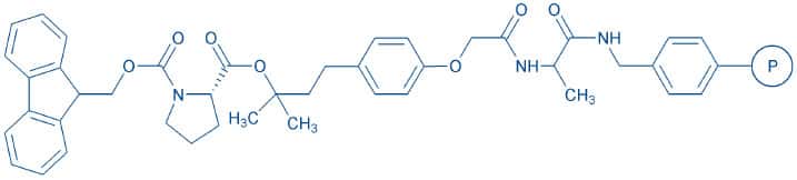Fmoc-Pro-DHPP resin (200-400 mesh, 0.4-0.7 mmol/g) - Bachem Products
