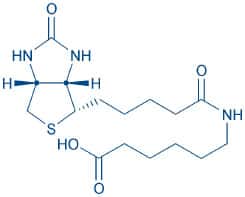 Biotinyl-εAhx-OH - Bachem Products