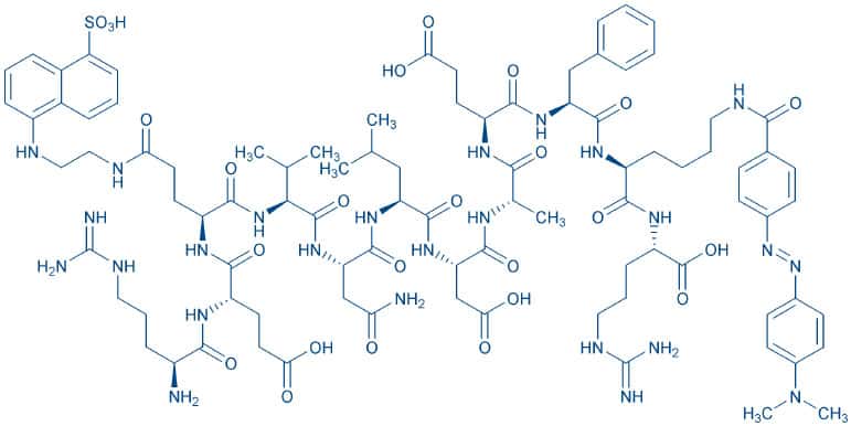Arg-Glu(EDANS)-(Asn⁶⁷⁰,Leu⁶⁷¹)-Amyloid β/A4 Protein Precursor₇₇₀ (668 ...