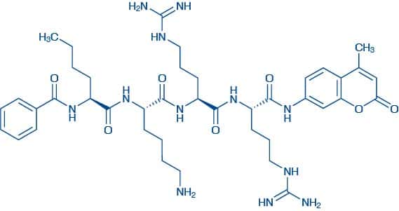 Bz-Nle-Lys-Arg-Arg-AMC - Bachem Products
