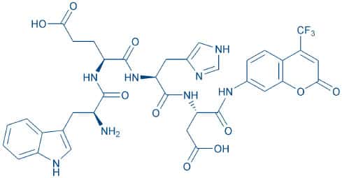 Ac-Trp-Glu-His-Asp-AFC - Bachem Products